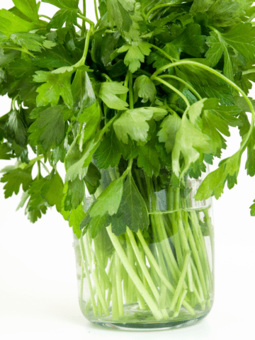How To Dry Cilantro (It's Easier Than You Think!) - Caitey Jay